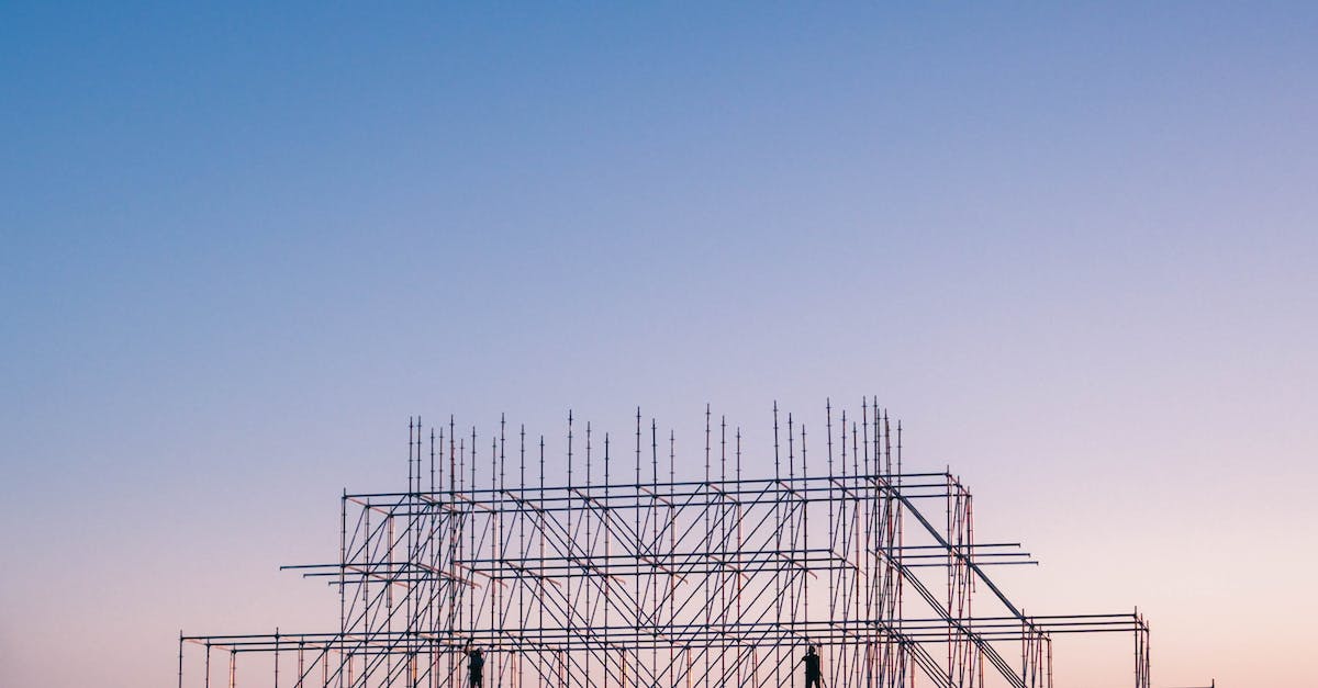 Scarifying DEFINITION AND MEANING – Reload